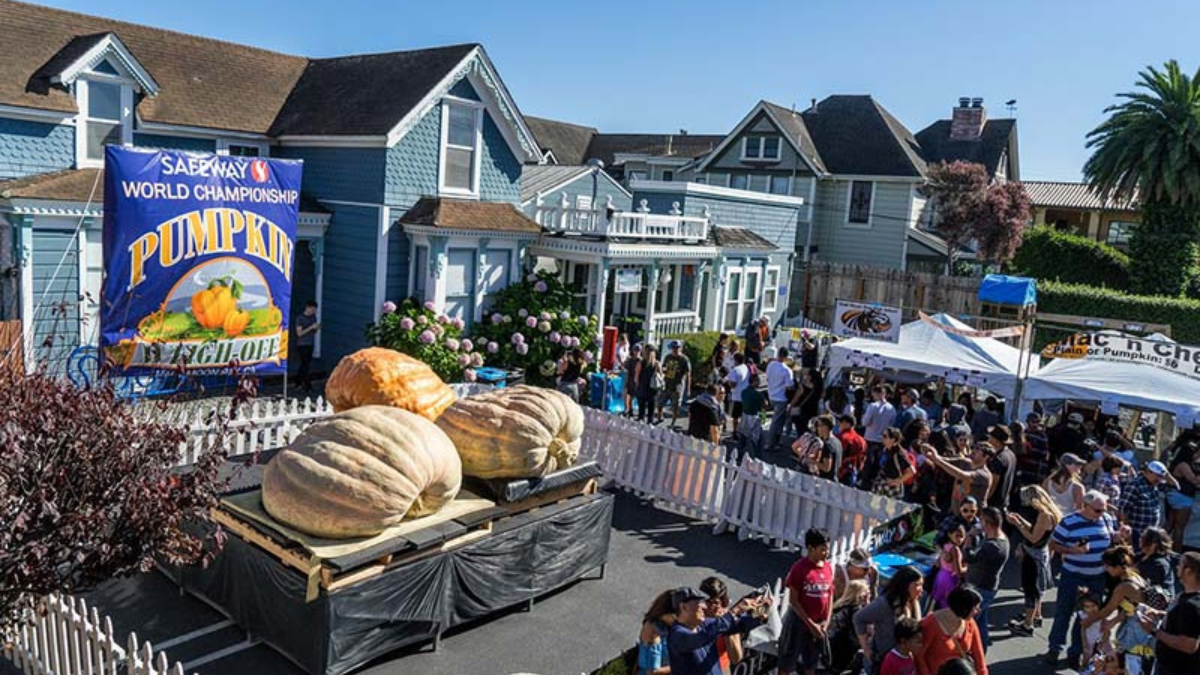 The Best Farms, Pumpkin Patches, and Fall Festivals in the Bay Area