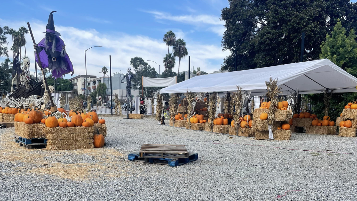 The Best Farms, Pumpkin Patches, and Fall Festivals near LA