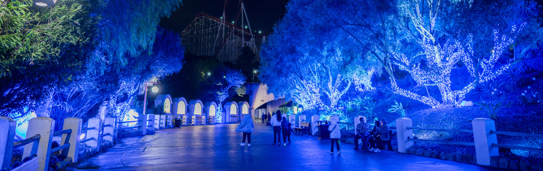 Everything to Do at Six Flags Magic Mountain This Holiday Season